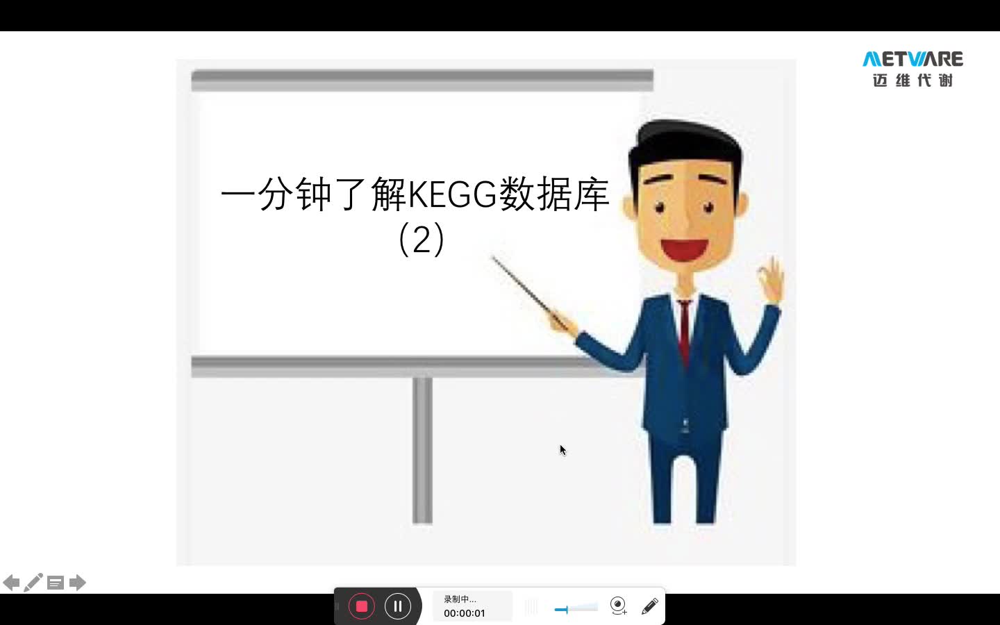 一分钟了解KEGG数据库(2)