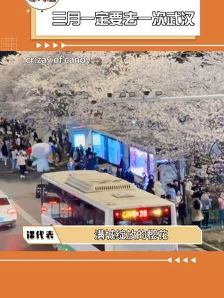 一起去武汉见证春天的温柔与诗意吧!! #樱花 #武汉 #旅行