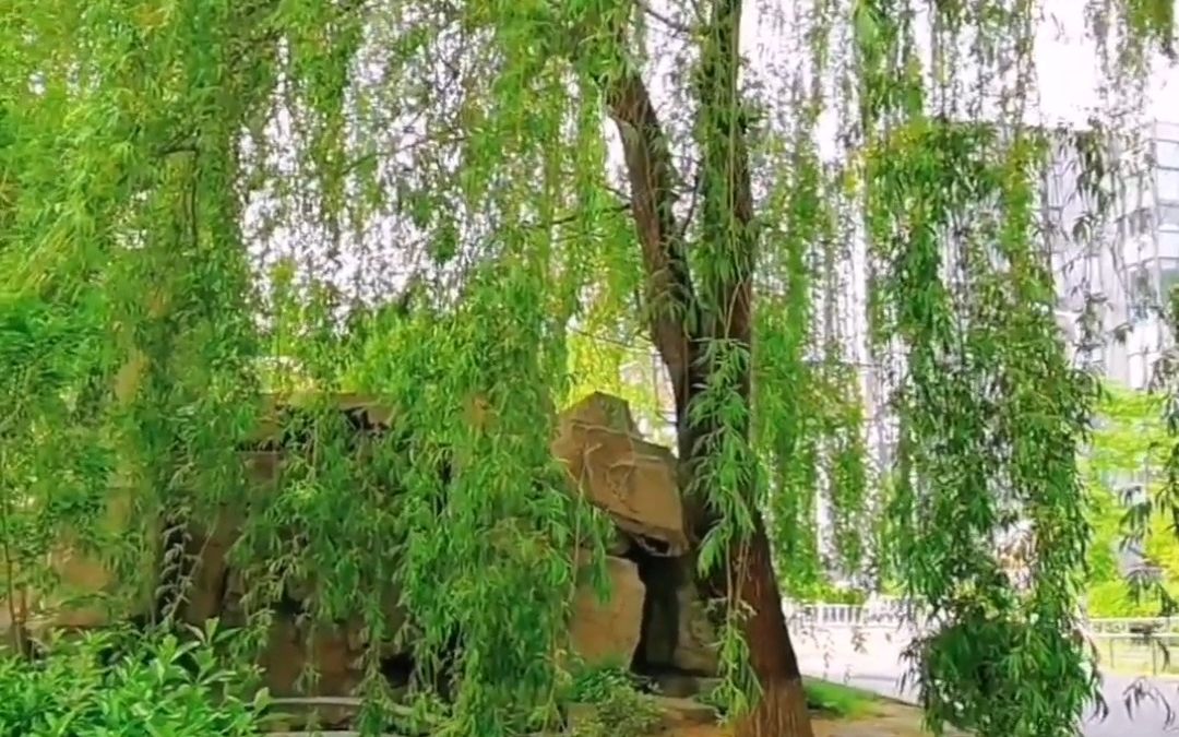 等离子空气消毒机使用场所有哪些