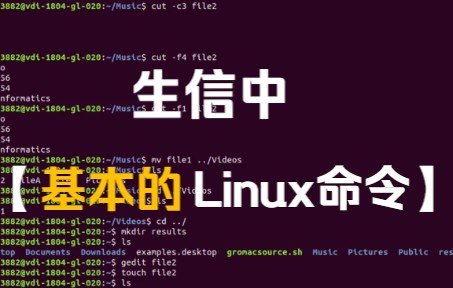 【搬运】U.Chidella-用于生物信息学的基本Linux命令