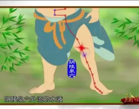 血虚怎么办 刺激血海膈俞气血双补