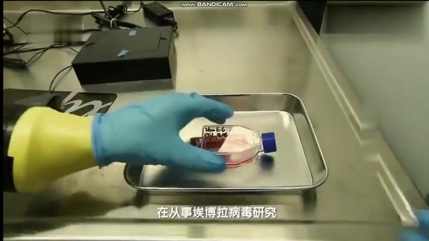 央视影像:《武汉国家生物安全实验室》