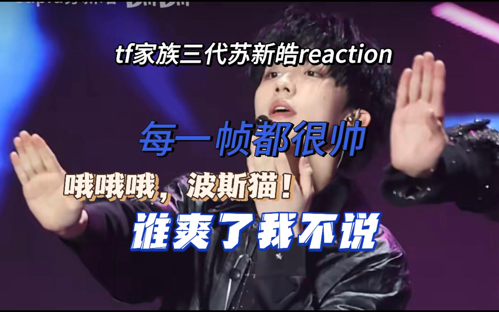 【tf家族三代】【苏新皓】reaction 2024年新年音乐会 没想到波斯猫...
