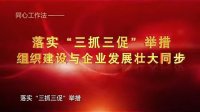 5.民企党组织书记工作案例