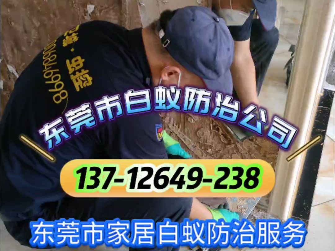 东莞麻涌白蚁防治中心-正规麻涌镇灭白蚁公司(麻涌本镇区30分钟内可...