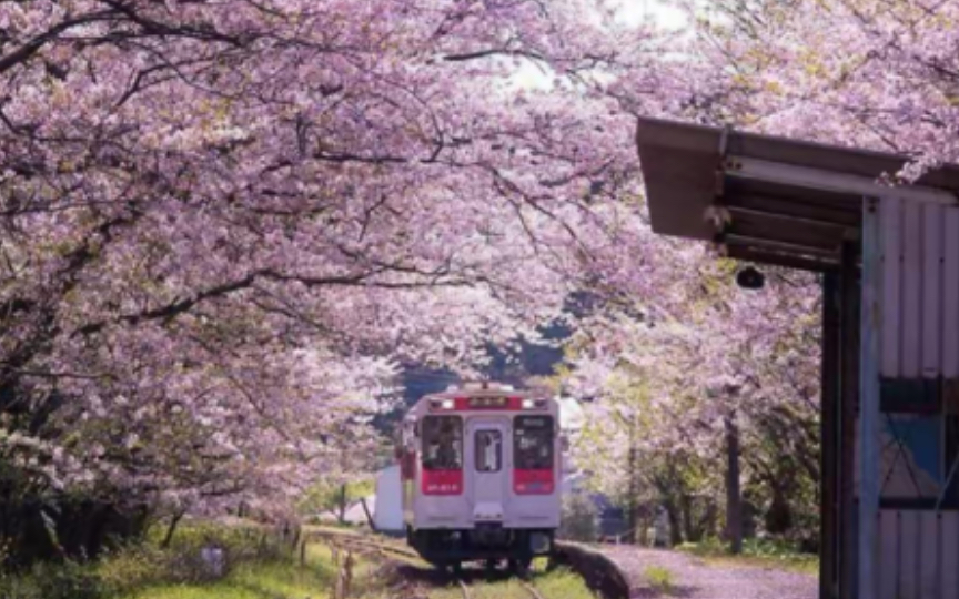 【小七助眠】一生要去一次的梦境旅行(上)模拟场景 | 角色扮演 | 中等...