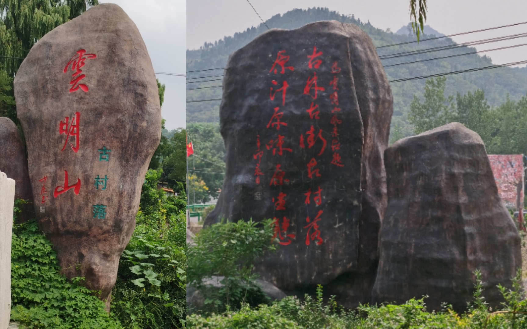 【风景】2021.8.7柳花村-刁合岭-云明山穿越,漫山遍野的黄花菜,有的...