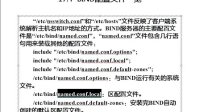 Ubuntu Linux视频17域名服务