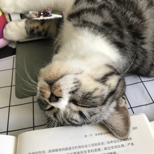 小赵喵喵 