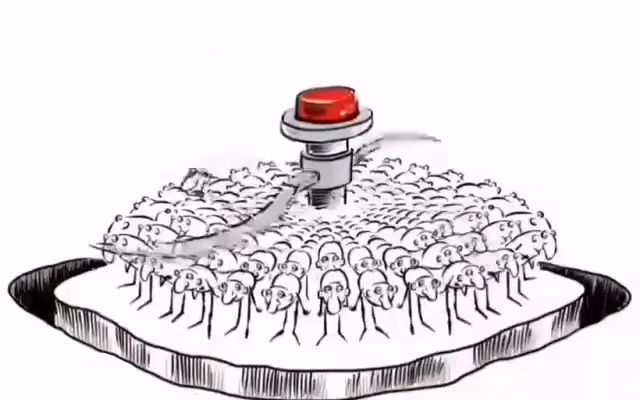 讽刺动画《社会的本质》