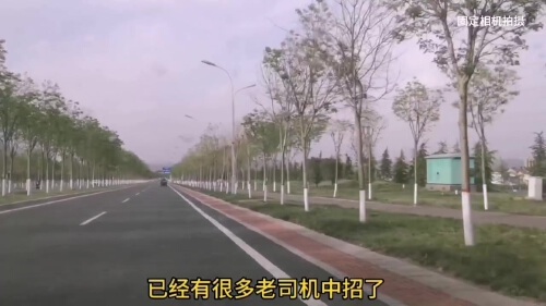 这种红绿灯你会走吗