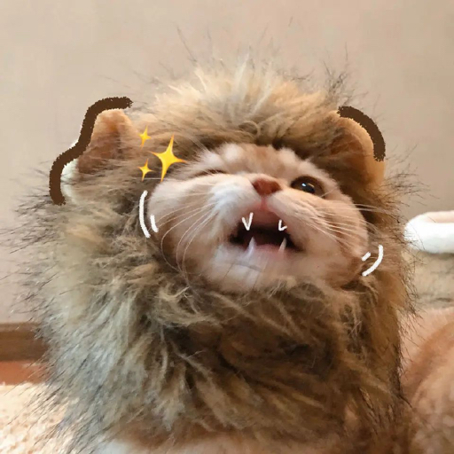 在吃榴莲冰激凌 