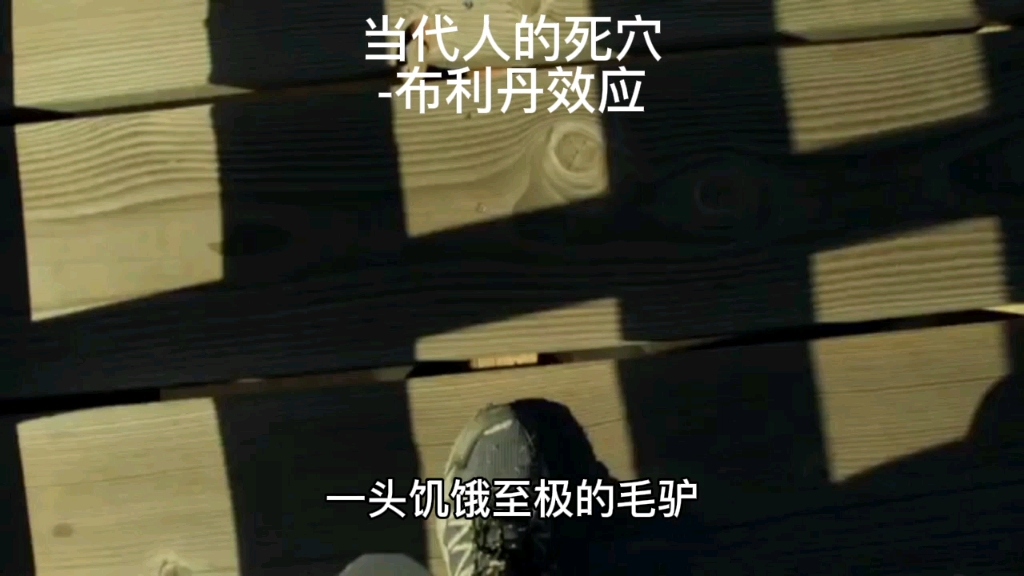 实用的心理学效应-布利丹效应