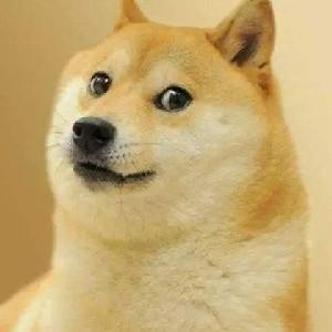召唤狗勾儿 