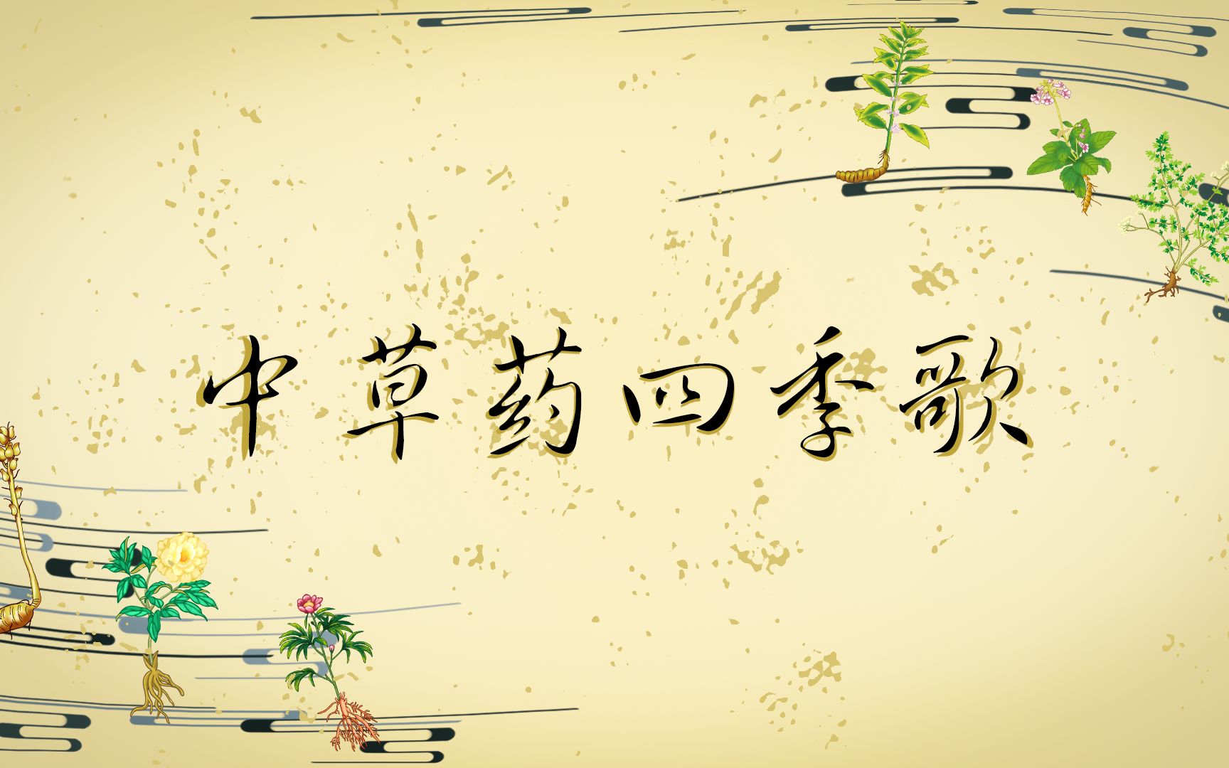 23年计算机设计大赛《中草药四季歌》