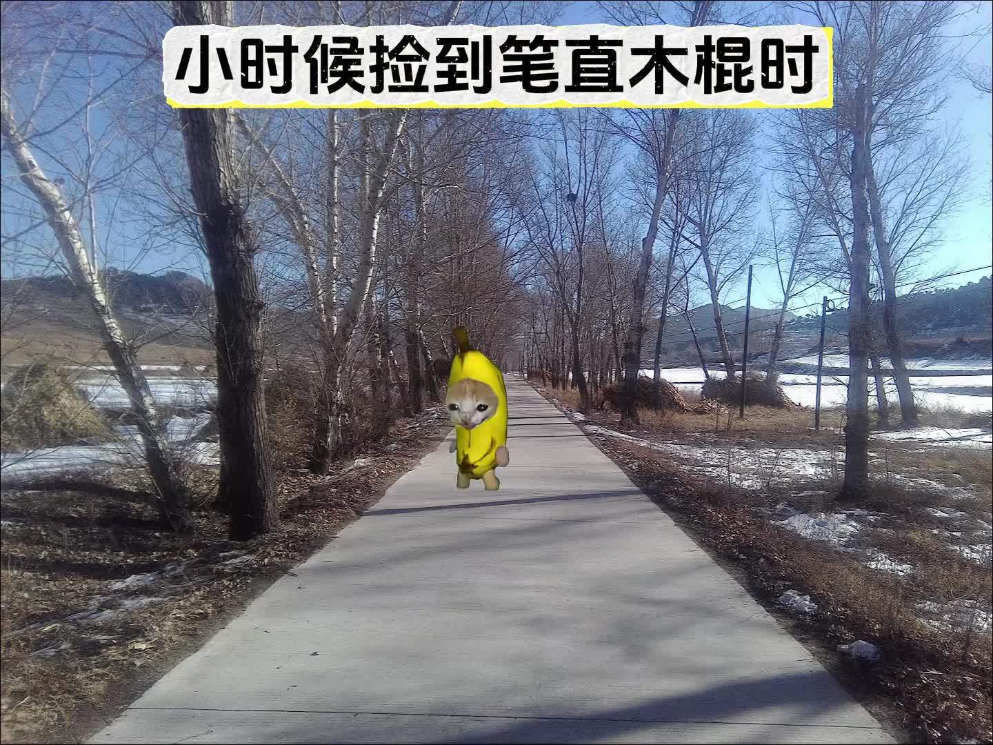 当小时候捡了一根笔直木棍时