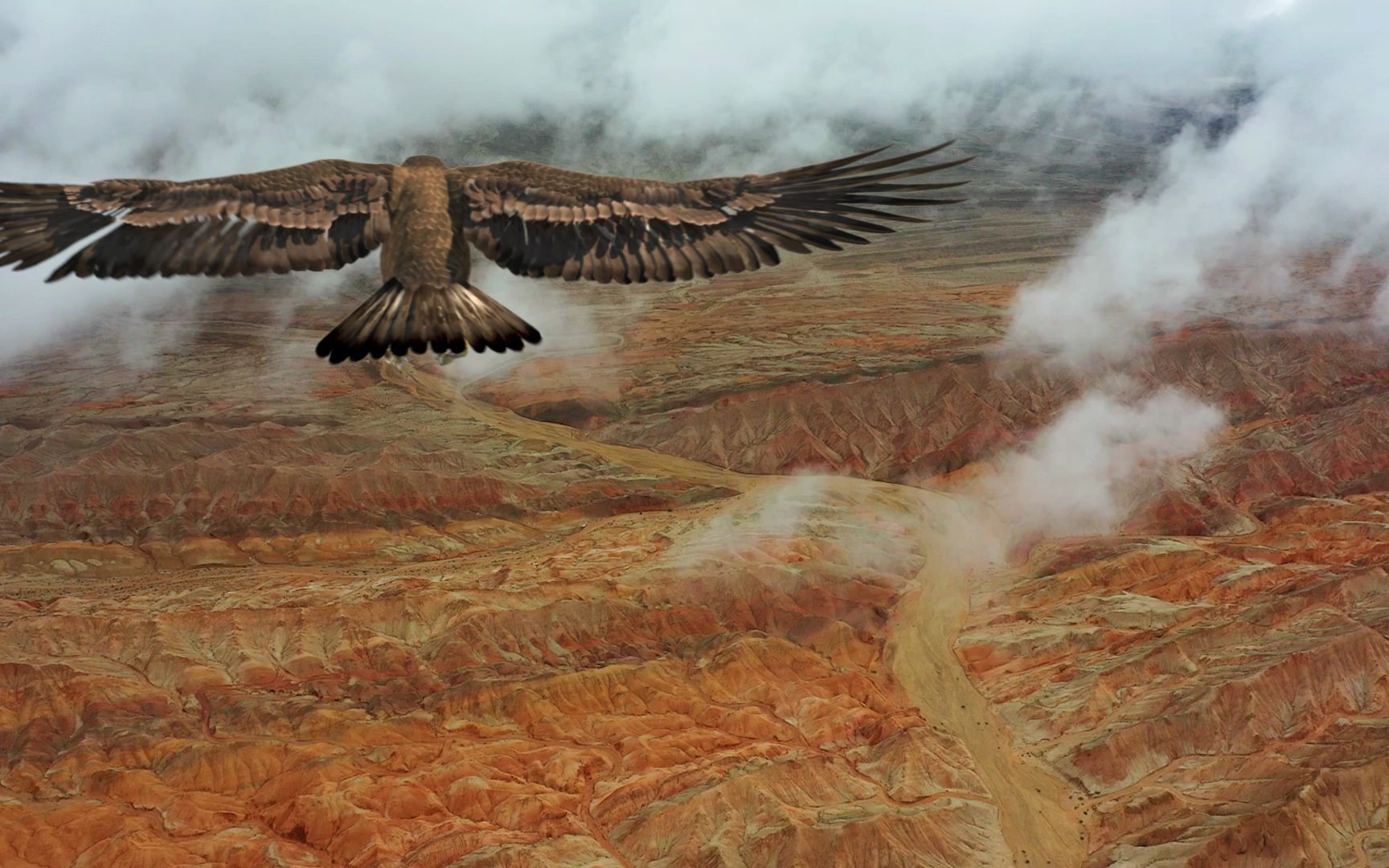 青海煤炭地质局宣传片