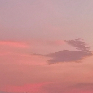 暖格林 