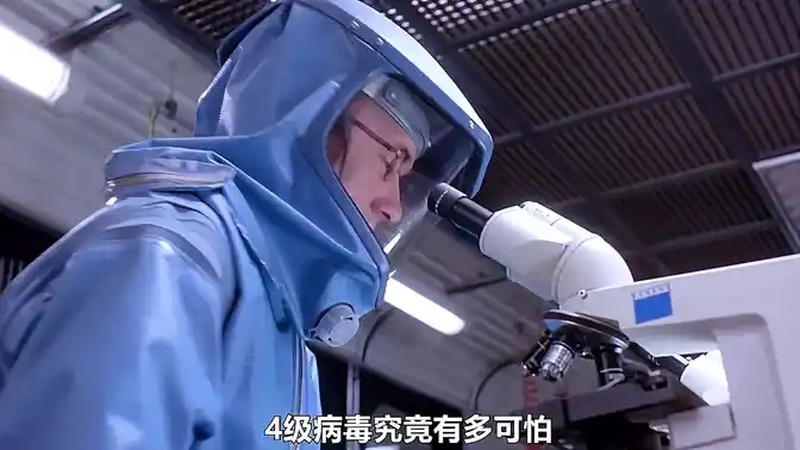 4级病毒到底有多可怕