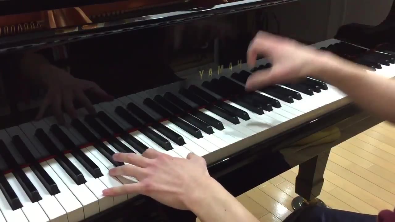 计算器小哥3/29日钢琴练习曲