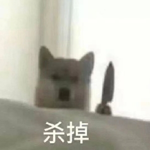 我才不会轻易地狗带哟 