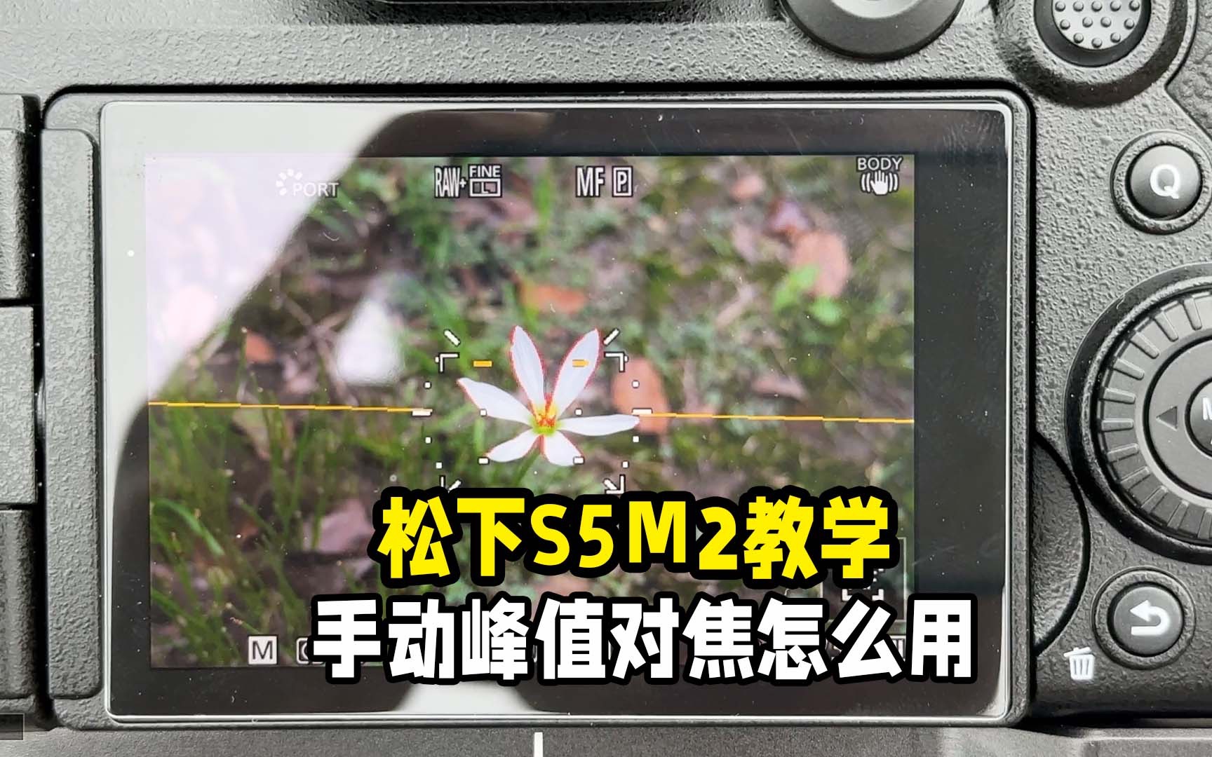 松下S5M2教学使用手动对焦峰值显示