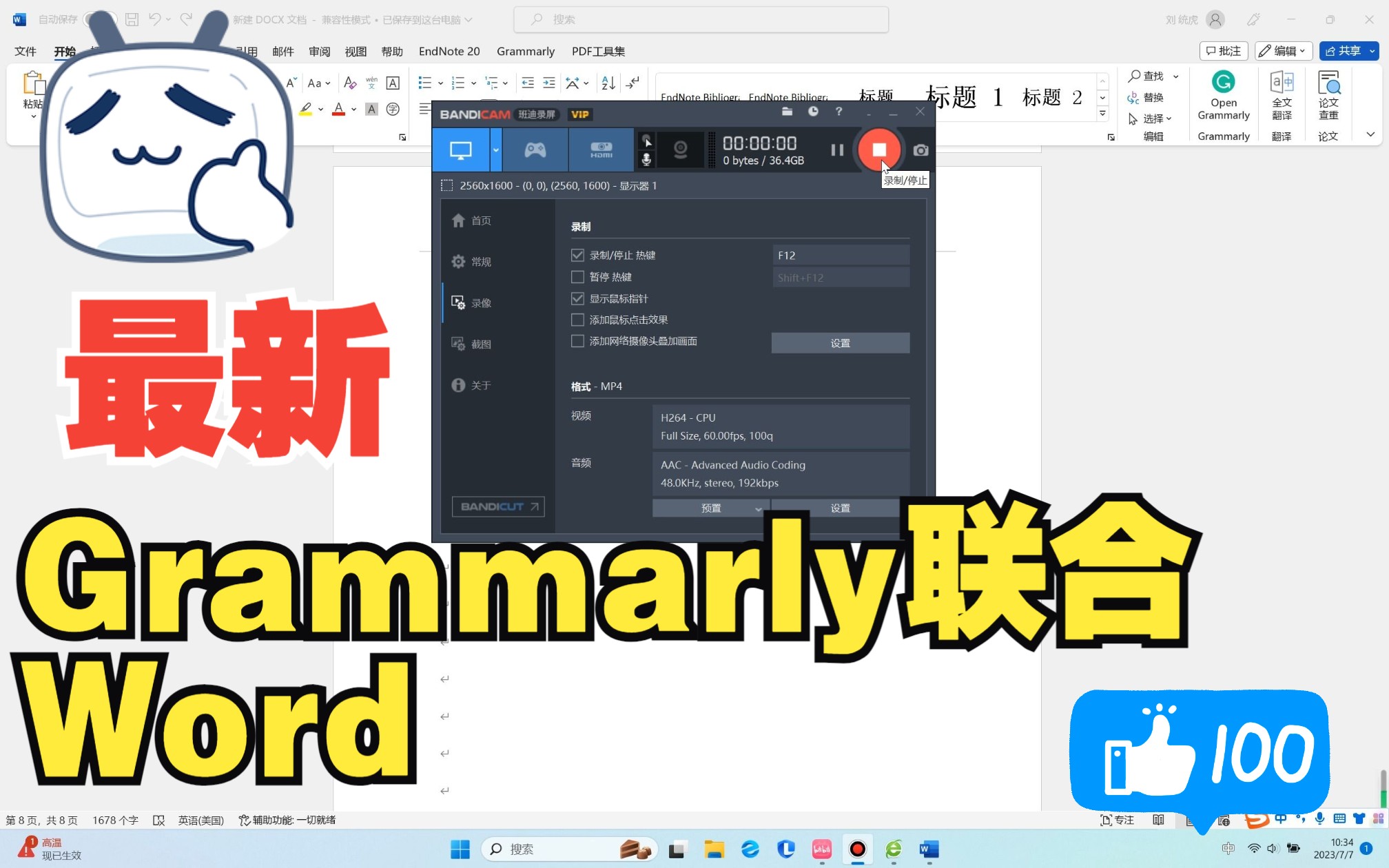 最新,Grammarly 联合Word