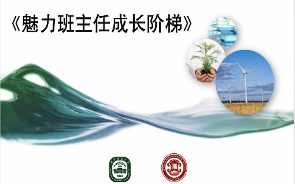 魅力班主任成长阶梯-爱课程(精品课)