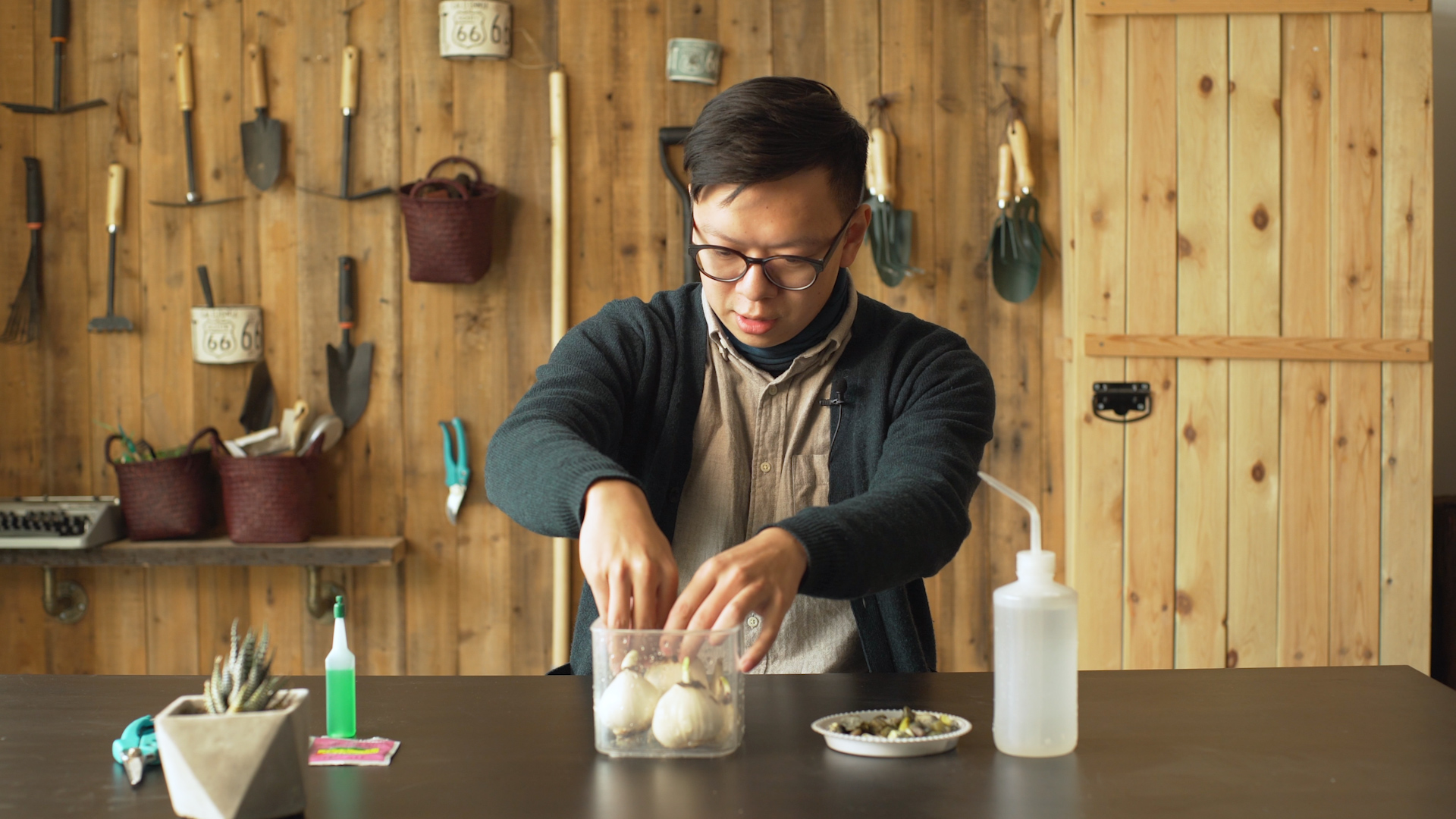 【造园记#58】如何种植水仙花