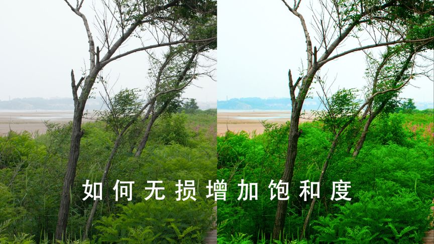 如何增加照片饱和度而不产生噪点,ps无损添加饱和度“学浪计划”