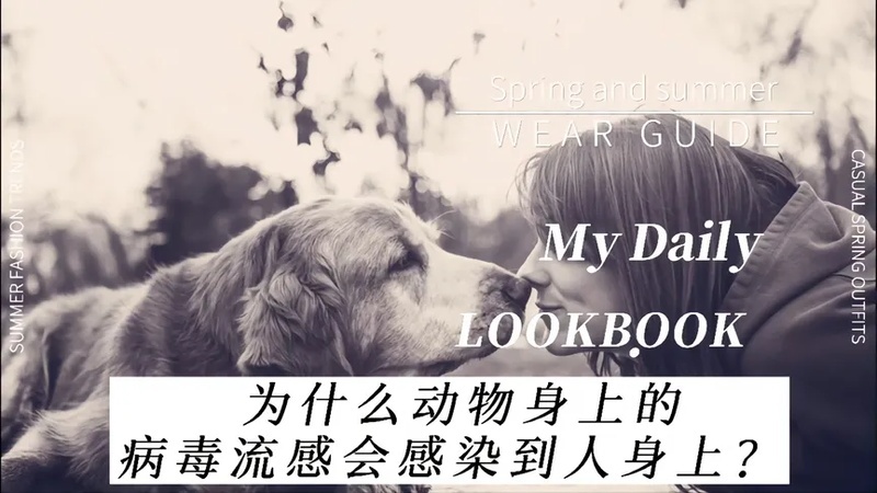 疫情的源头:动物身上的流感和病毒为什么会被人体感染千万注意