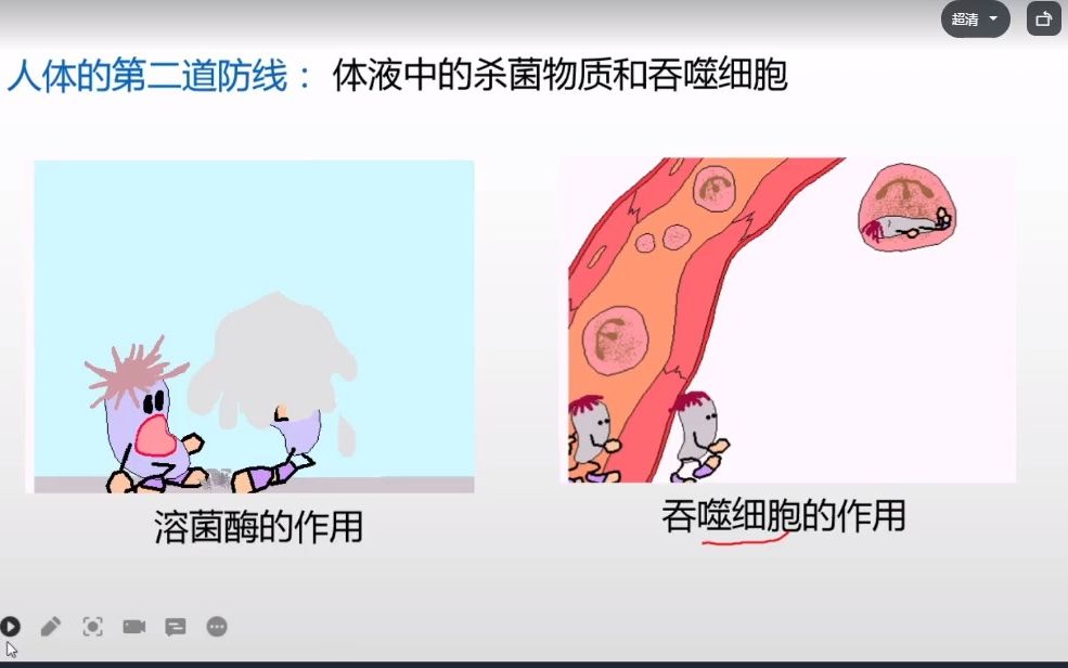 [中考考点】 传染病和免疫 (生物直播)