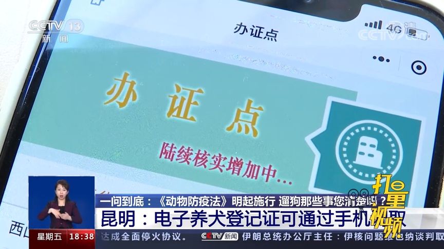 昆明:电子养犬登记证可通过手机调取|共同关注