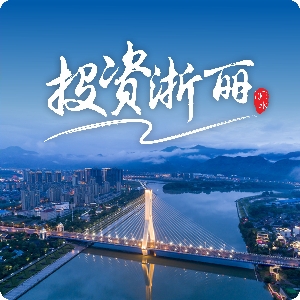 丽水市双招双引办 