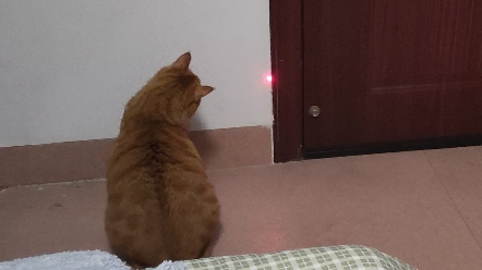 激光减肥法