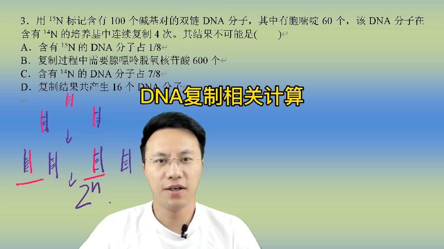 一分钟搞定《DNA复制相关计算》