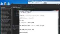 dnSpy 视频使用指引教程