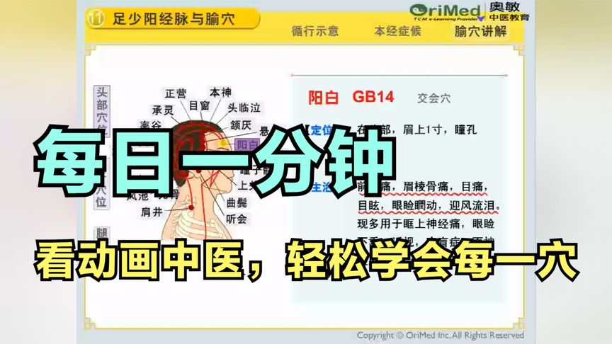 动画中医;穴位经络-胆经-阳白穴