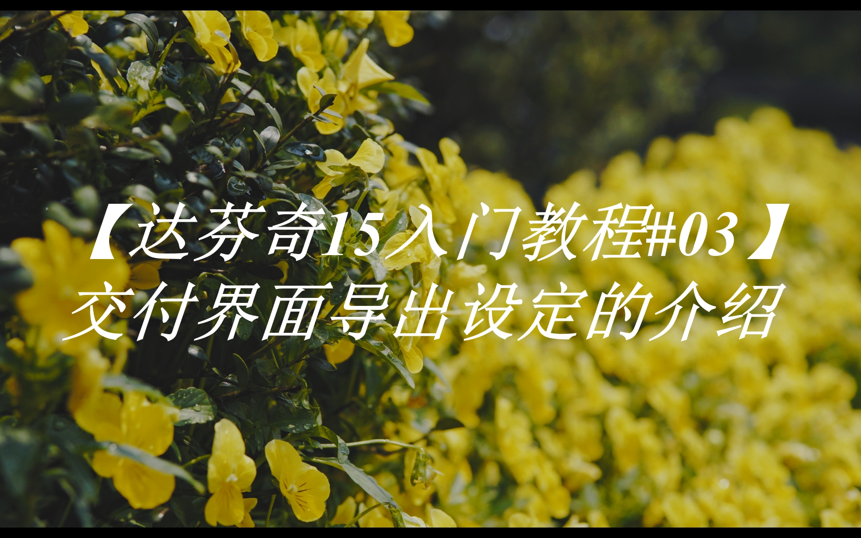【达芬奇调色15入门教程#03】导出设定的介绍