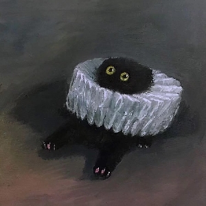 可可可不是嘛 
