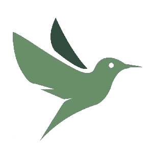 青鸟新知 