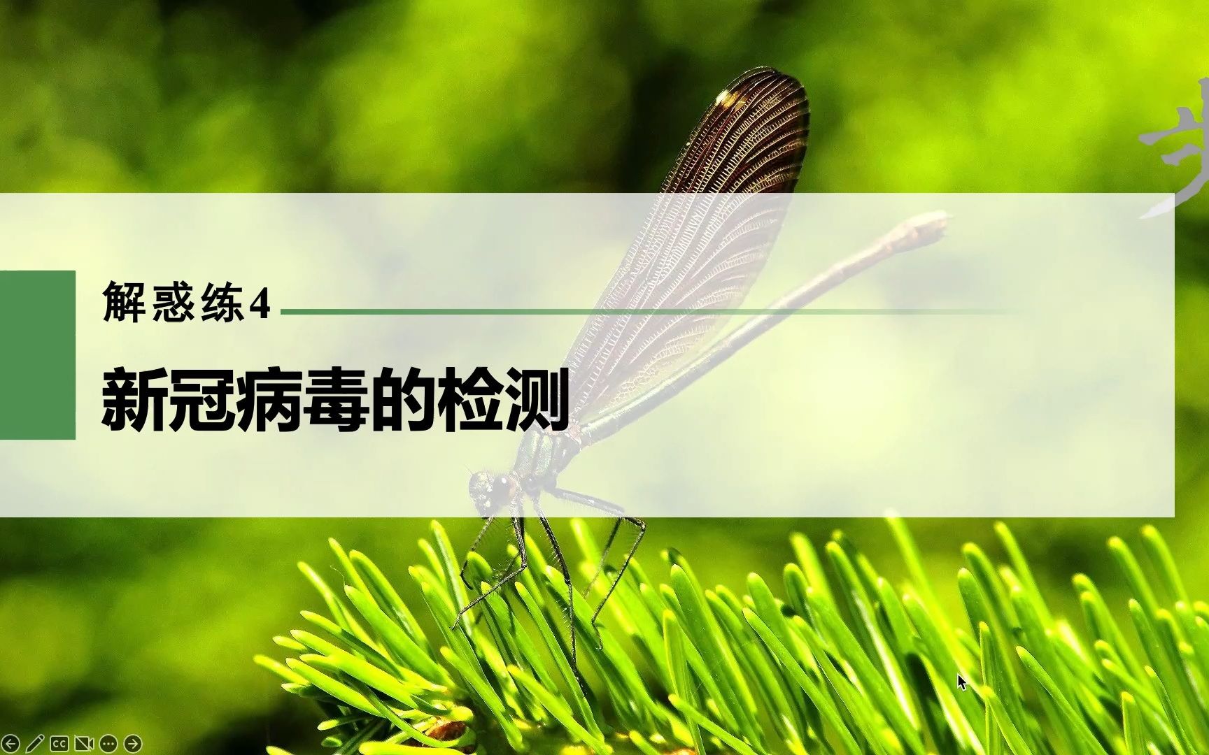 【高中生物一轮复习】解惑练4新冠病毒的检测淬灭荧光 新高考生物学...
