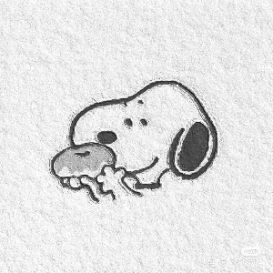 是可可巫 