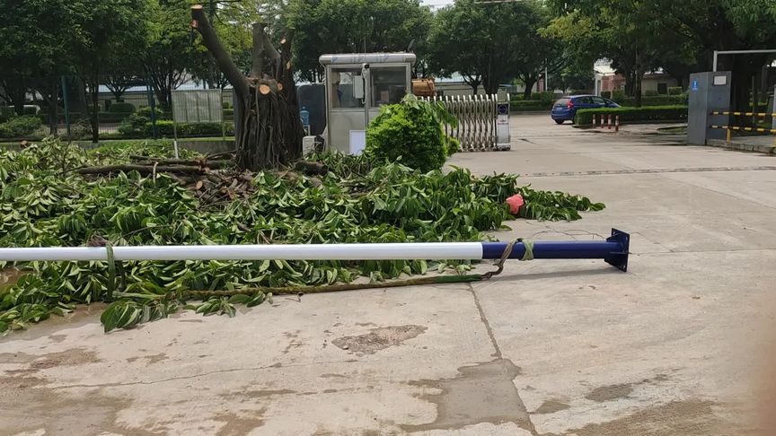 一根路灯杆竟然要打110,最后赔了多少钱?