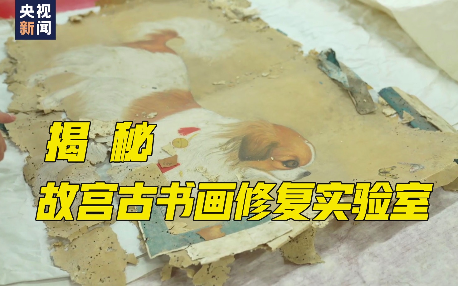 我在故宫修文物的那些事儿
