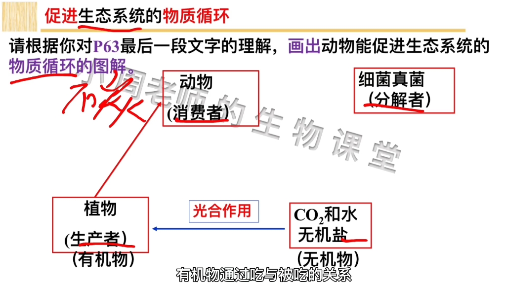 动物在生物圈中的作用重难点二:动物能够促进生态系统的物质循环 #...