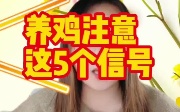 养鸡注意这5个信号?鸡感冒是什么样子?鸡感冒什么症状?鸡感冒是...
