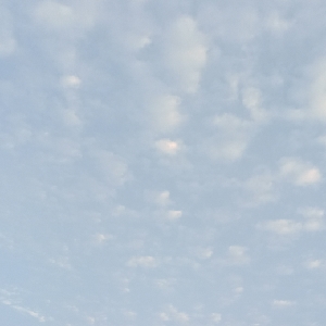 清云集 