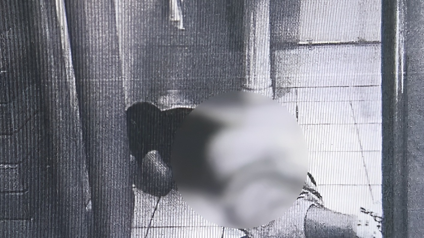 众包骑手在公厕内晕倒后死亡,家属理赔60万猝死保险金被拒,法院判了