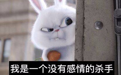 【日常vlog实验2】不同因素对家兔心血管活动的影响